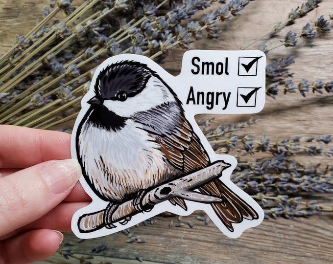 Smol and Angry Black Capped Chickadee Sticker 4 Inch Glossy Waterproof ...