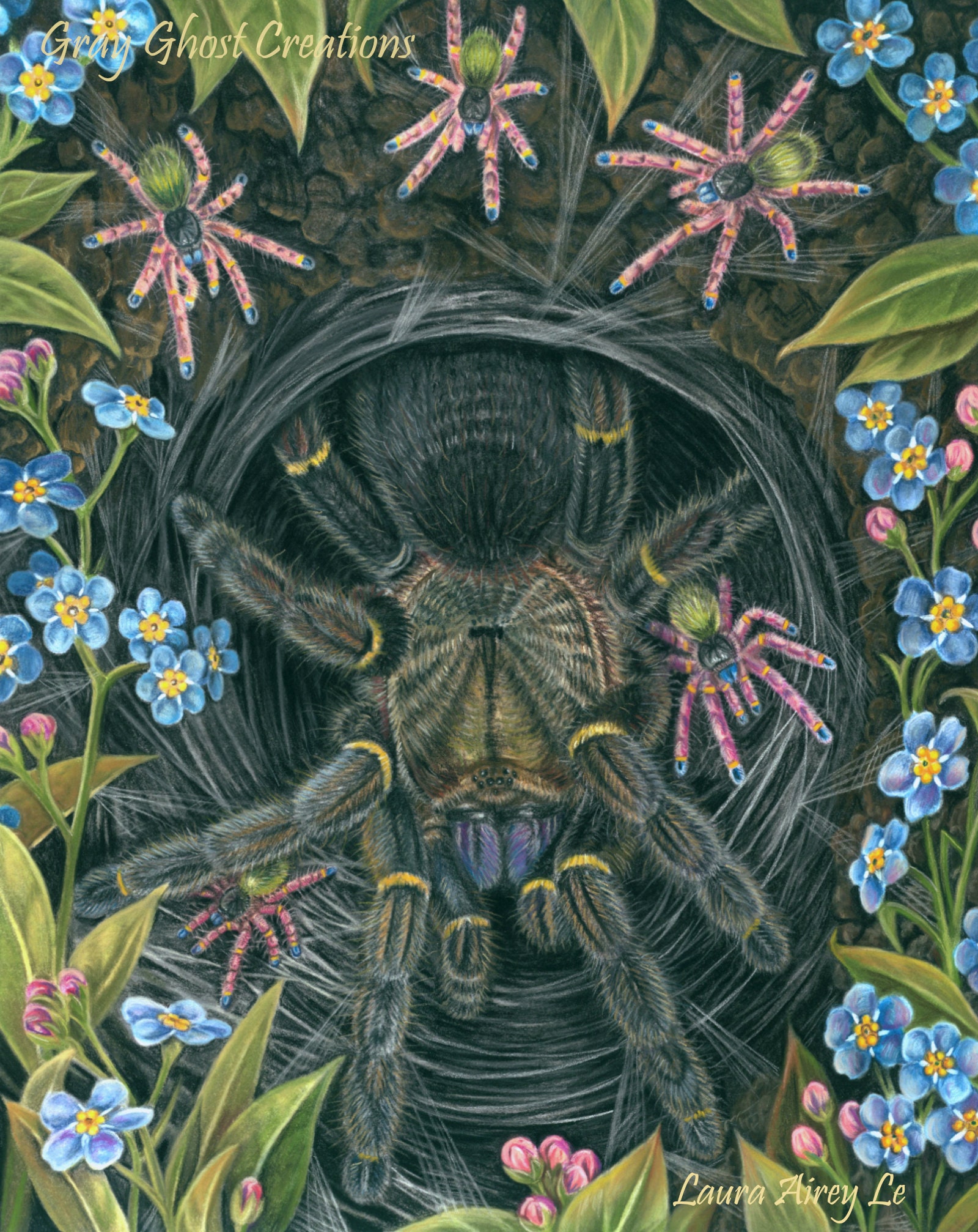 Limited Edition Blue Fang Skeleton Tarantula Ephebopus - Etsy