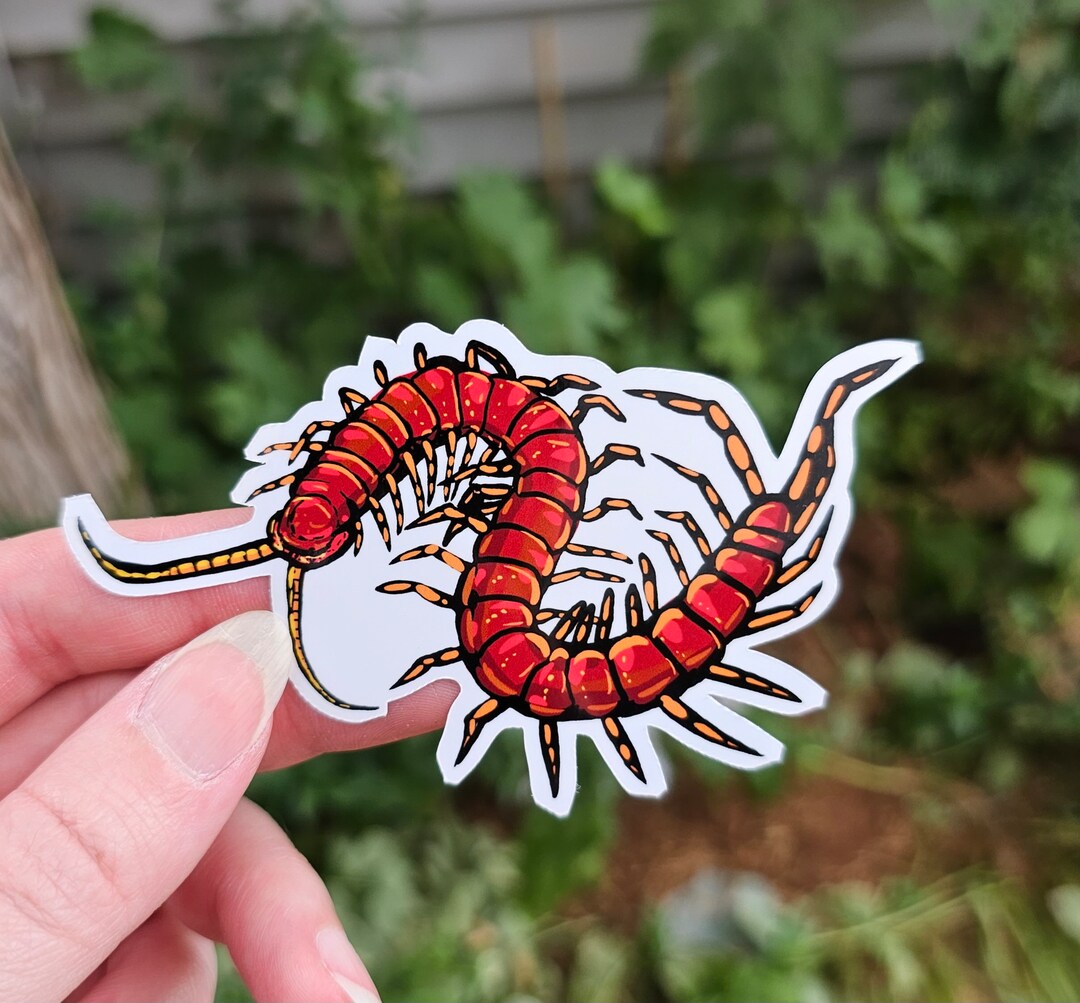 Red Scolopendra Centipede Sticker - Glossy Insect Art (3.5 Inch) - Etsy