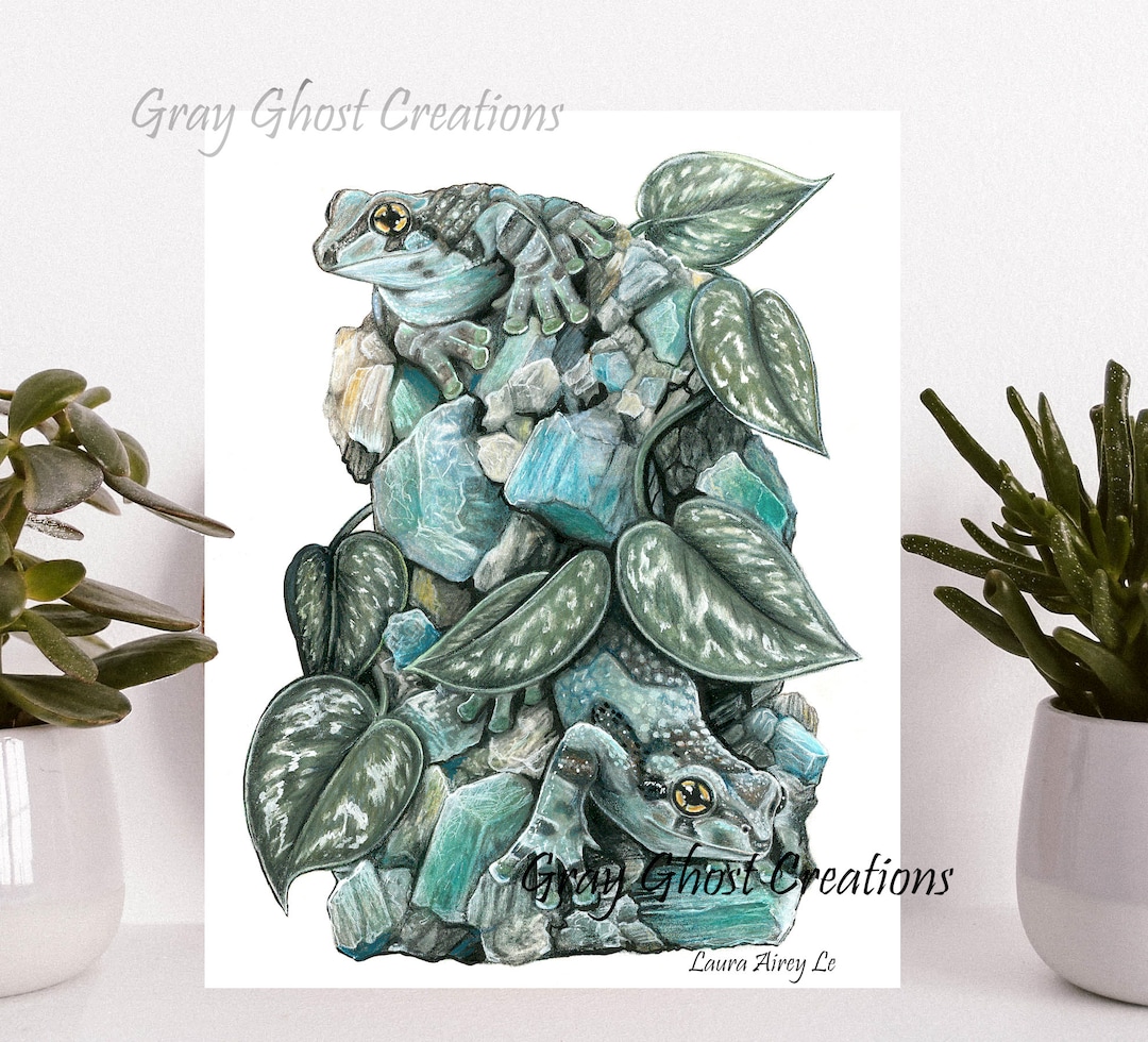 Amazon Milk Frogs Art Print: Amazonite & Satin Pothos Colored Pencil ...