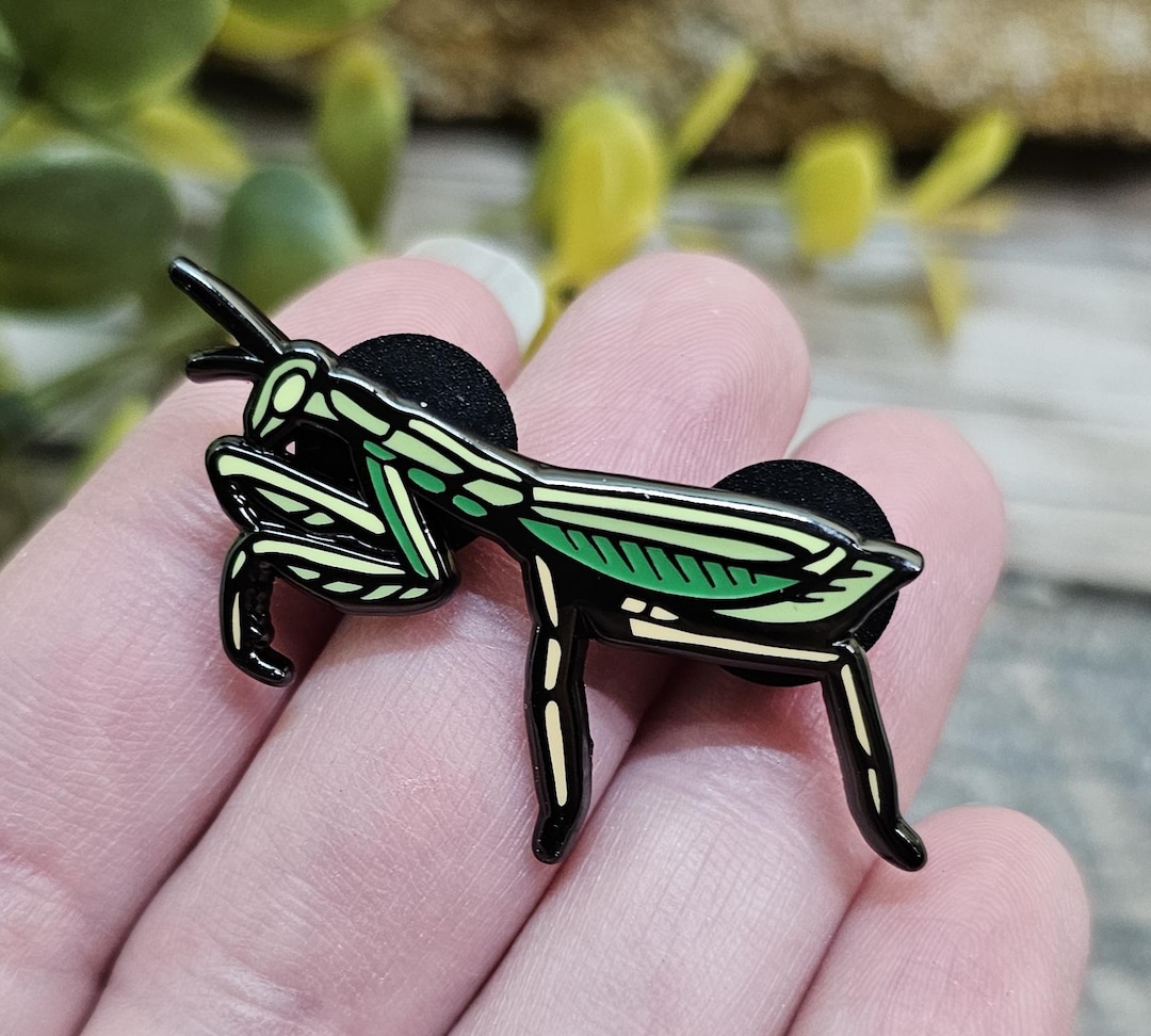 Hard Enam Pin - Praying Mantis - Black Metal Insect Bug Unique Forest Floor Green Bug - Etsy