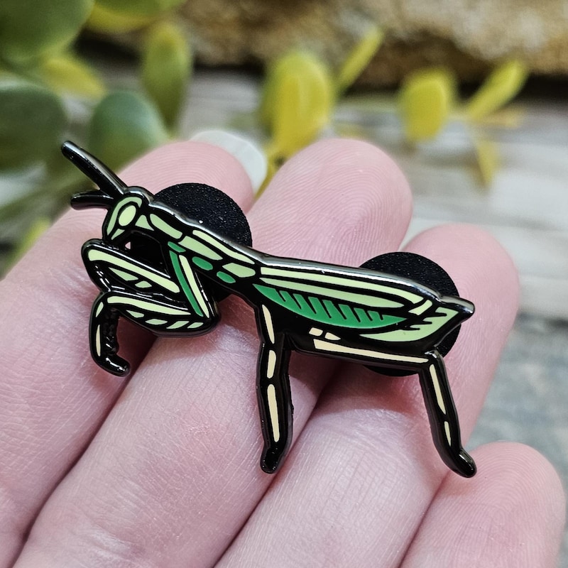 Praying Mantis Pin - Etsy