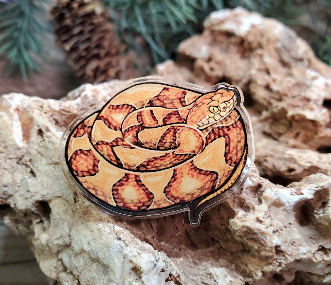 Acrylic Pin - Copperhead Snake - Made With Recycled Materials - Reptile ...