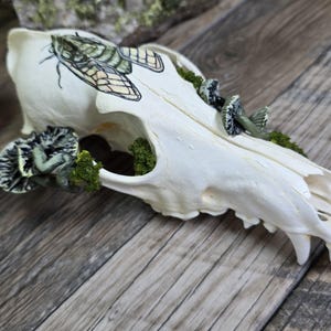 Custom Painted Cicada and Hand Sculpted Mushrooms on a Real Beautiful ...