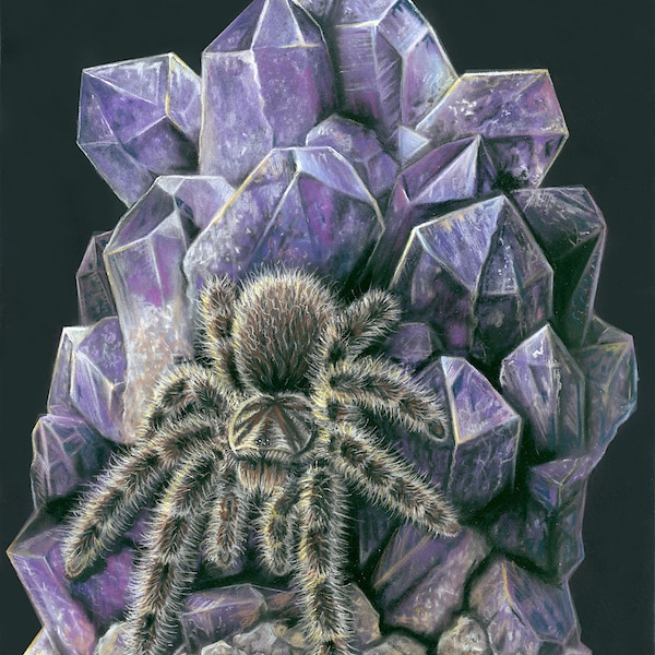 Tarantula - Etsy