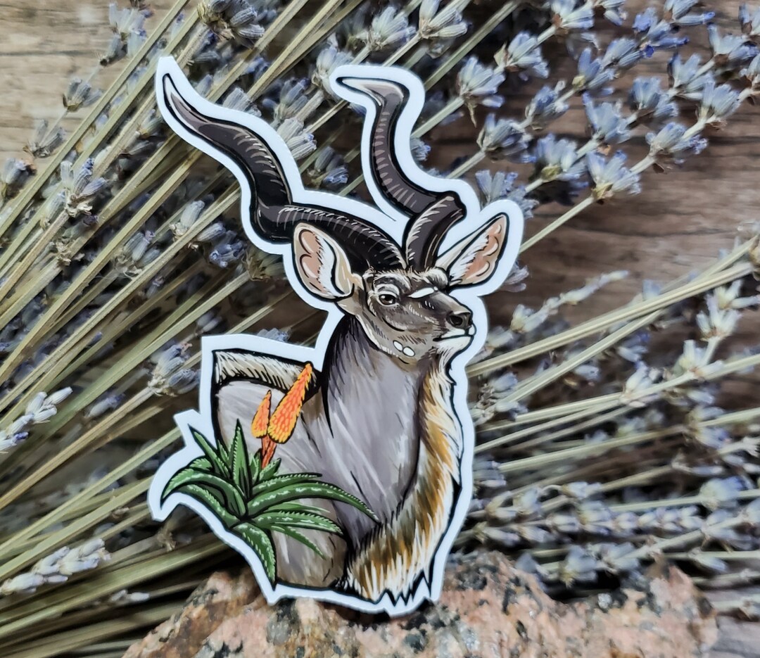 Majestic Kudu Sticker: African Antelope Art, Waterproof Vinyl (4 Inch ...