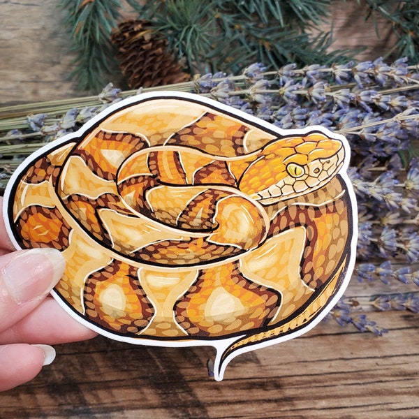 Copperhead Snake Skin - Etsy