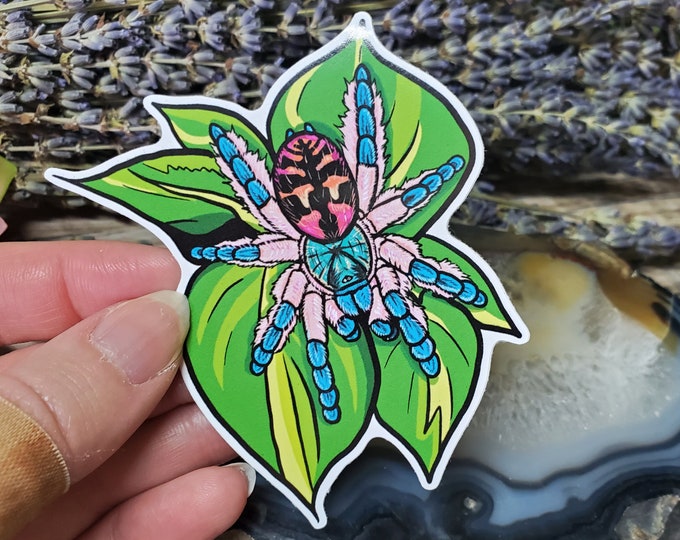 T. Seladonia on Pathos Leaves Tarantula Sticker 3 Inch Glossy Sticker ...