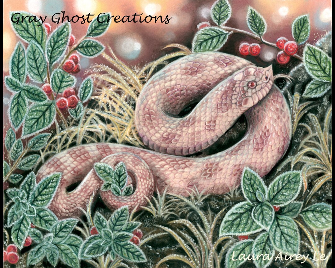 Holiday Hognose - 5x7 or 8x10 Fine Art Print - by Laura Airey Le ...