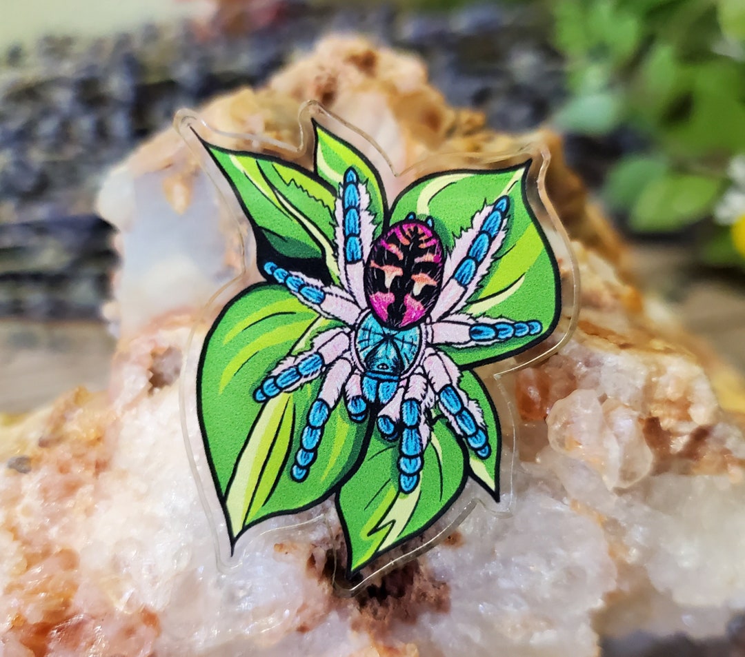 Acrylic Pin - T. Seladonia Trap Door Tarantula With Brazilian Pathos ...