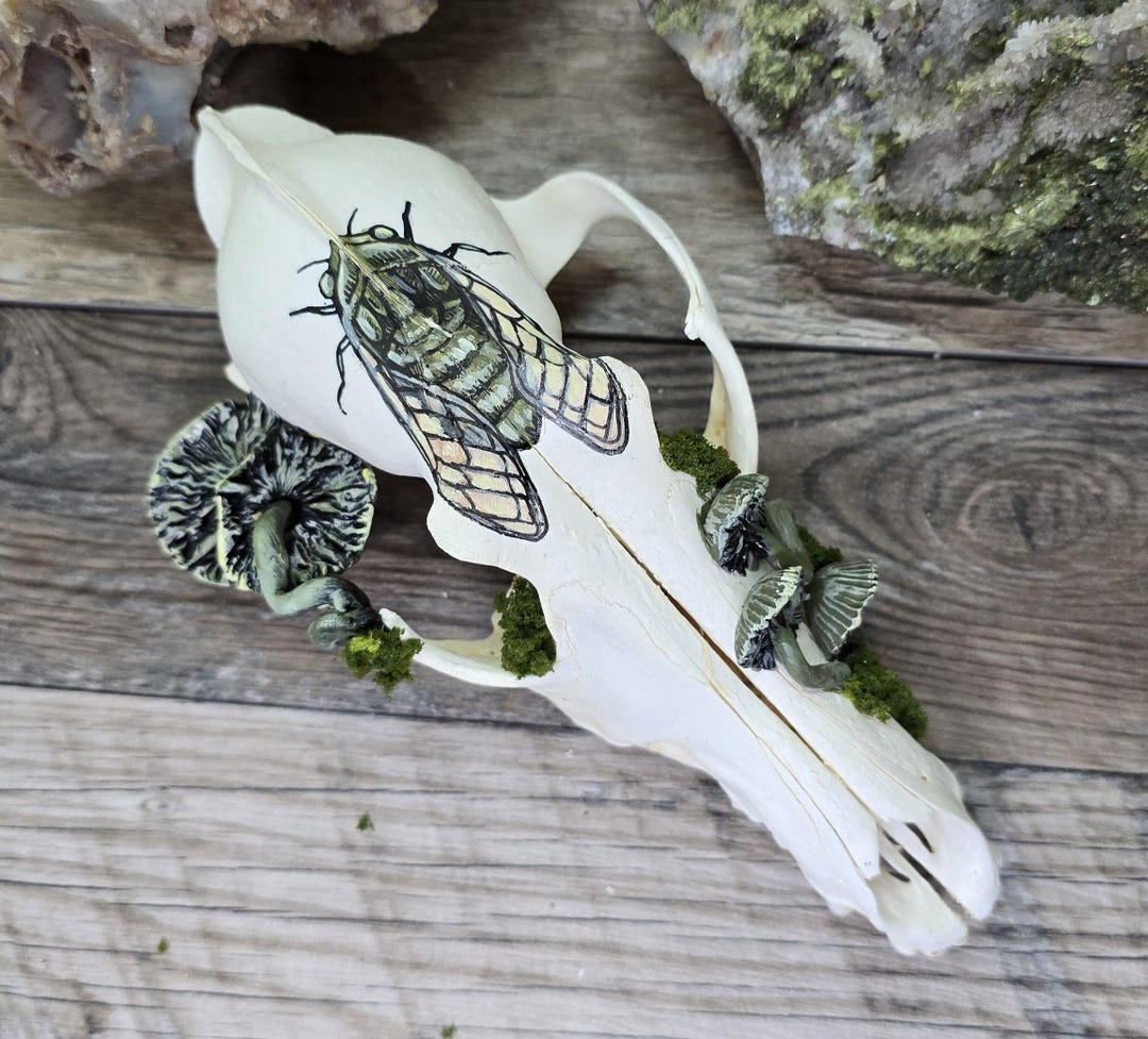 Custom Painted Cicada and Hand Sculpted Mushrooms on a Real Beautiful ...