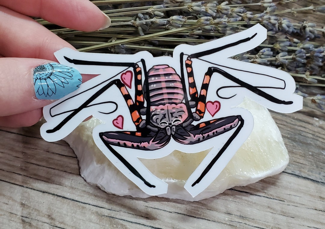 Pink Heart Tailless Whip Scorpion Sticker 3.75 Inch Glossy Sticker ...