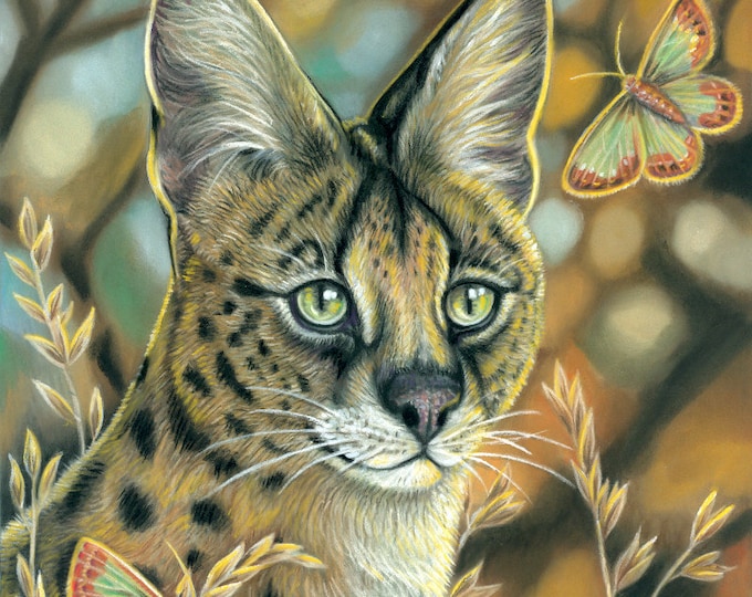 African Serval Fine Art Print by Laura Airey Le Wild Serval With ...