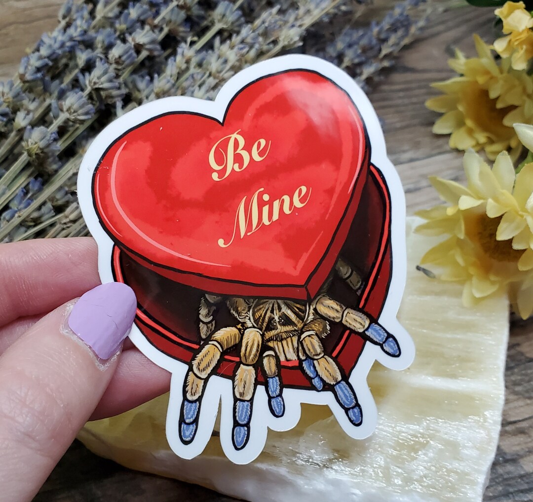 Idiothele Mira Tarantula Sticker: Valentine's Day Spider Gift - Etsy