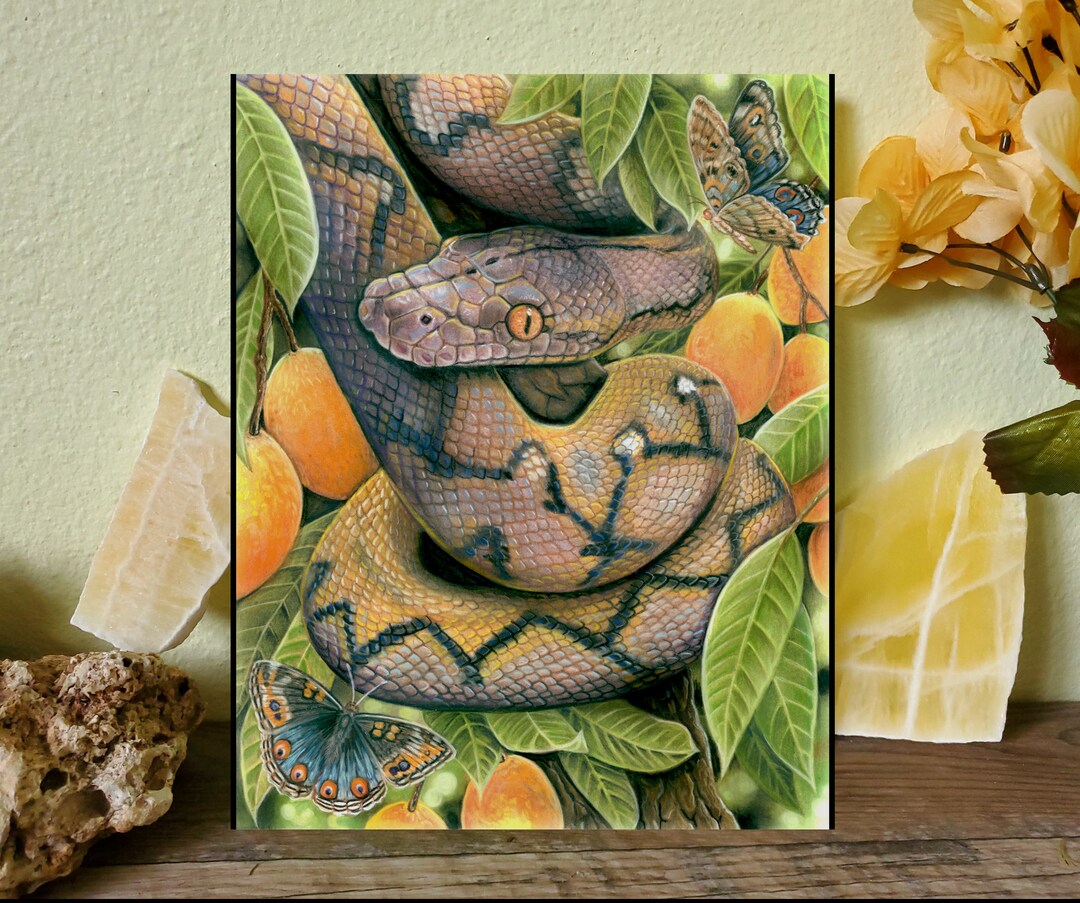 Limited Edition - Kali the Sunfire Reticulated Python - 11x14 Fine Art ...