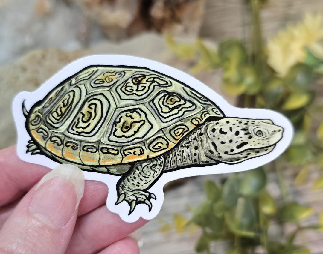 Diamondback Terrapin Sticker: Waterproof Glossy Reptile Art - Etsy