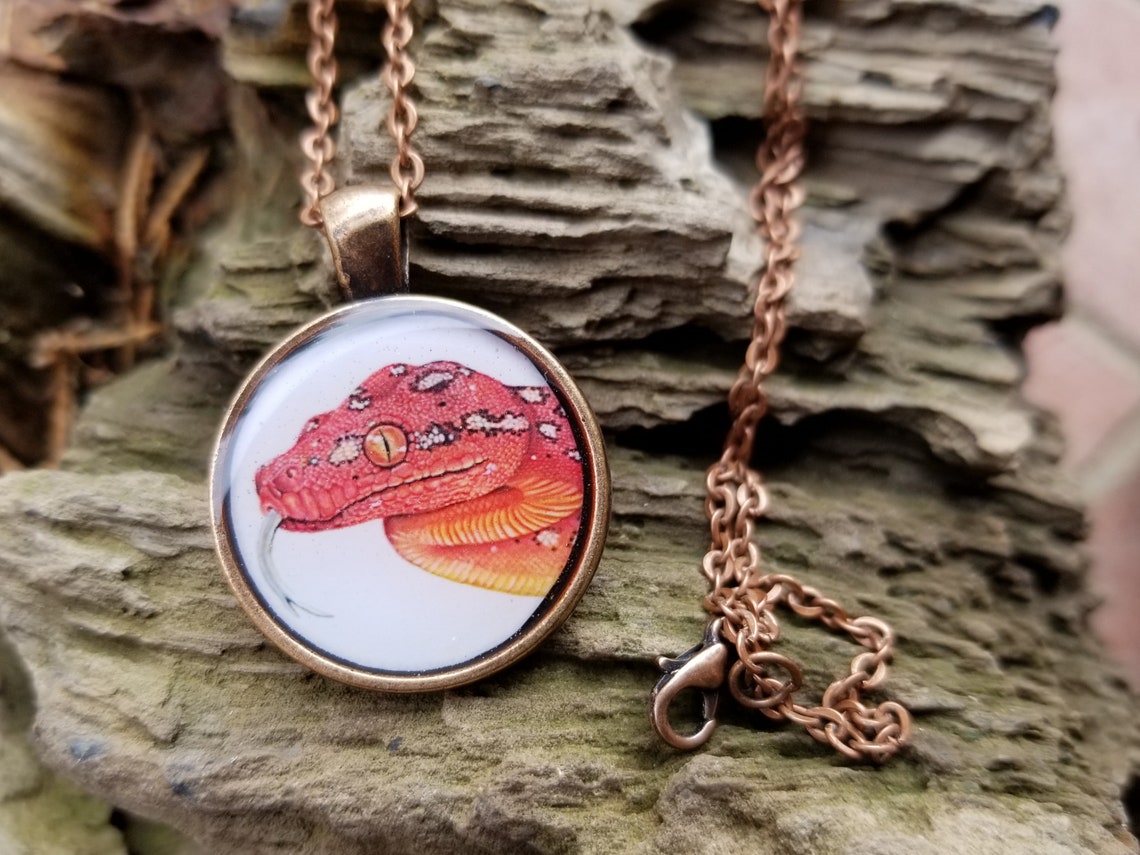 Baby Red Green Tree Python Portrait Snake Reptile Drawing | Etsy