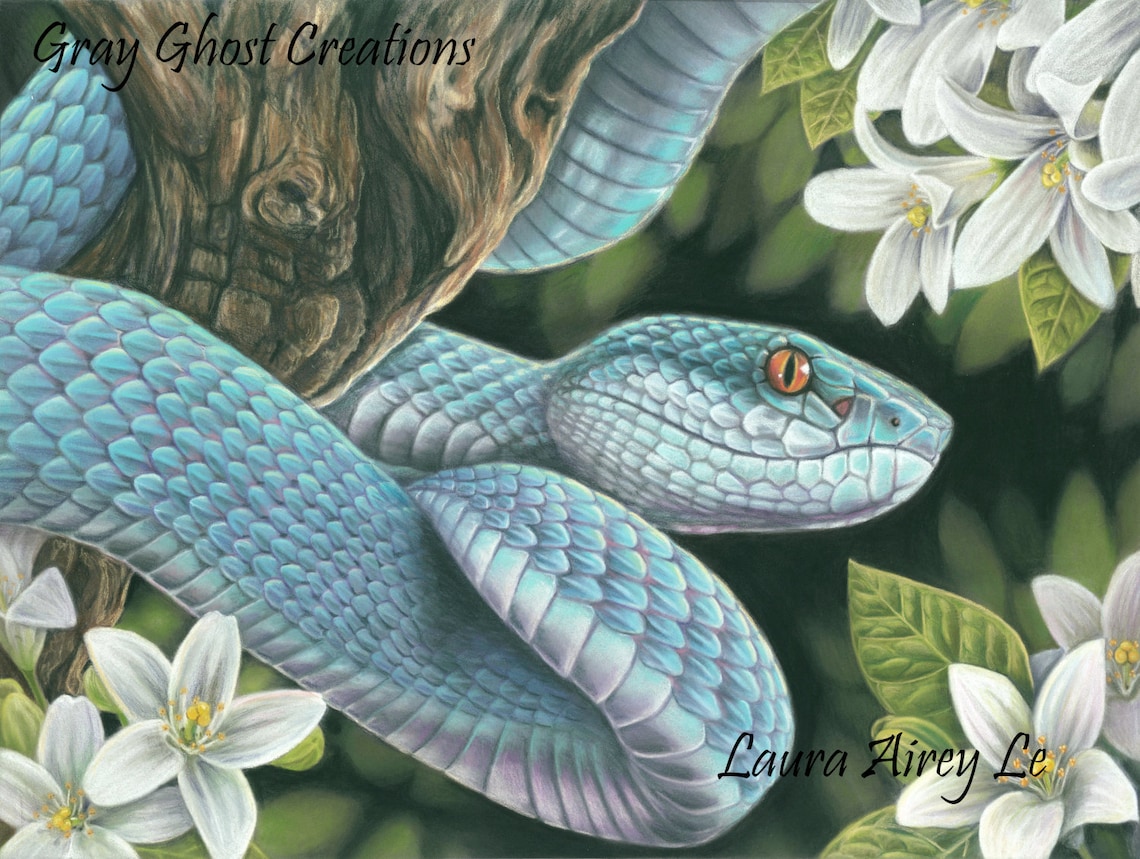 Blue Insularis Fine Art Print by Laura Airey Le Viper - Etsy