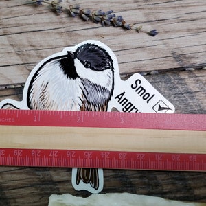 Smol and Angry Black Capped Chickadee Sticker - 4 Inch Glossy ...