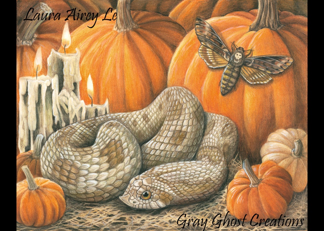 Halloween Hognose - 5x7 or 8x10 Fine Art Print - by Laura Airey Le ...