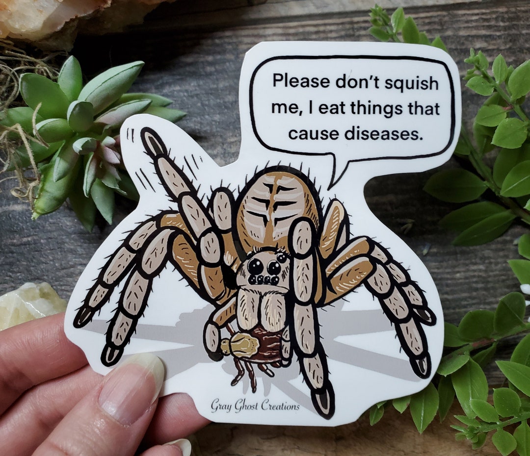 Wolf Spider "please Dont Squish Me" Sticker - 4 Inch or 2.5 Inch Glossy ...