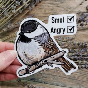 Smol and Angry Black Capped Chickadee Sticker - 4 Inch Glossy ...