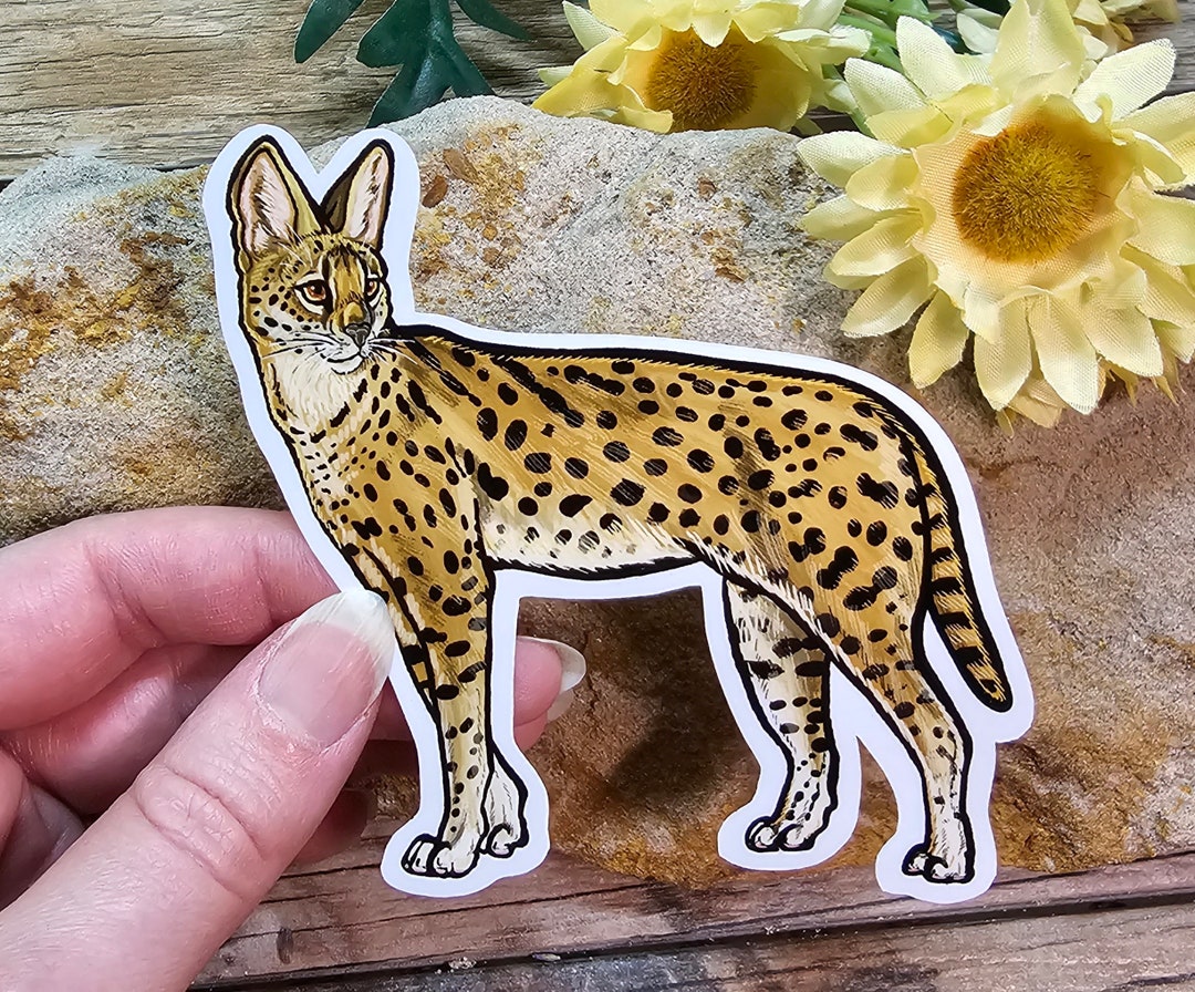 Serval Wild Cat Sticker - 5 Inch Glossy Sticker - Feline Kitty Kitten ...