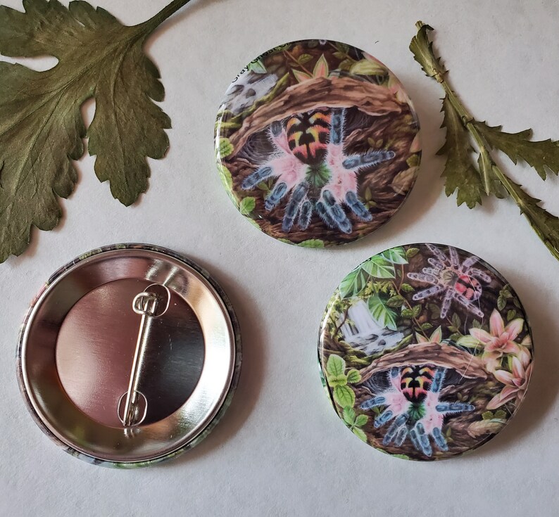 Tarantula Button Trio 1.75 Inch Hand Pressed Metal Buttons - Etsy