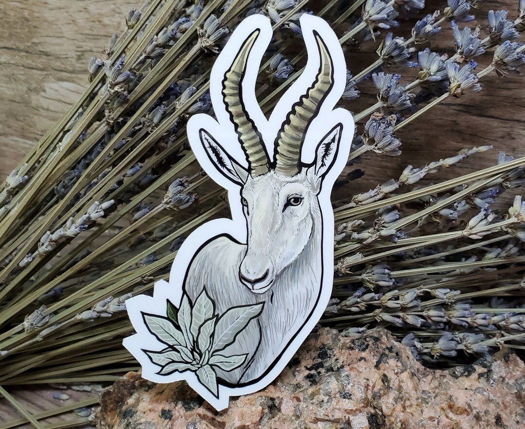 Majestic White Blesbok and Sage African Antelope Sticker - 4 Inch ...