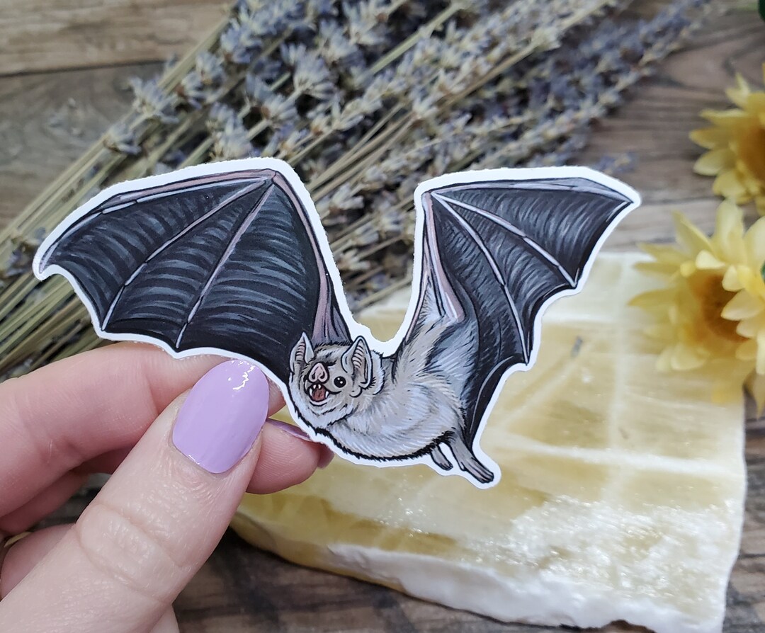 Vampire Bat Sticker - 4 Inch Glossy Sticker - Bat Bats Bird Mammal Cute ...
