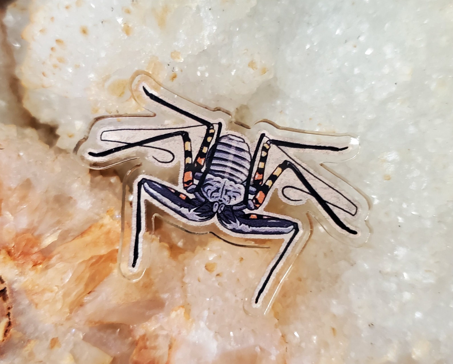 Acrylic Pin Tailess Whip Scorpion Made With Recycled - Etsy