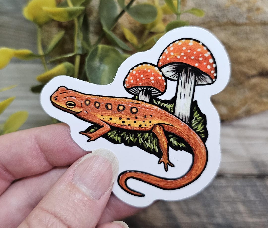 Eastern Newt Eft Sticker - 2.75 Inch Glossy Waterproof Sticker - Baby ...