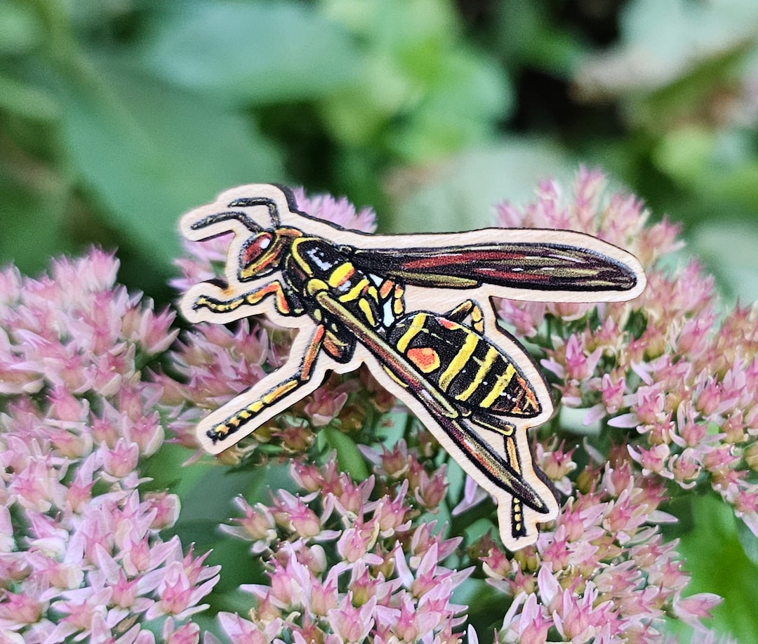 Wooden Northern Paper Wasp Pin: Recycled Cottagecore Insect Brooch - Etsy