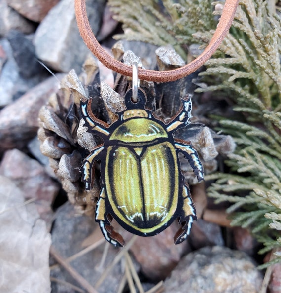 Egyptian Scarab Beetle Insect