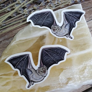 Vampire Bat Pair of Stickers 2.75 Inch Glossy Stickers Bat Bats Bird ...