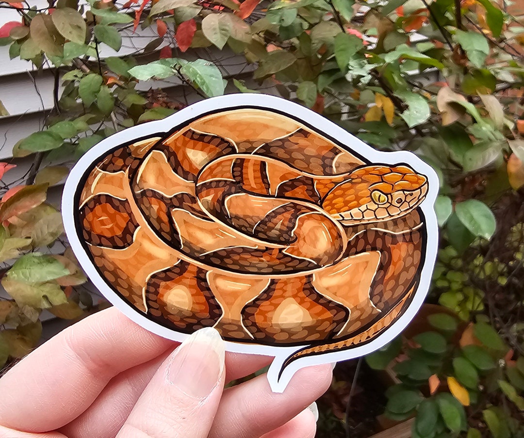 Copperhead Snake Sticker: Glossy Reptile Art Decal - Etsy