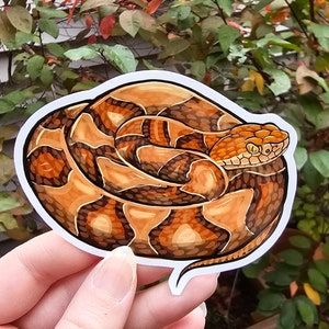 Copperhead Snake Sticker: Glossy Reptile Art Decal - Etsy