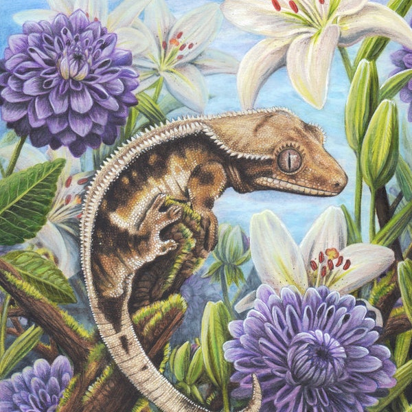 Gecko Art - Etsy