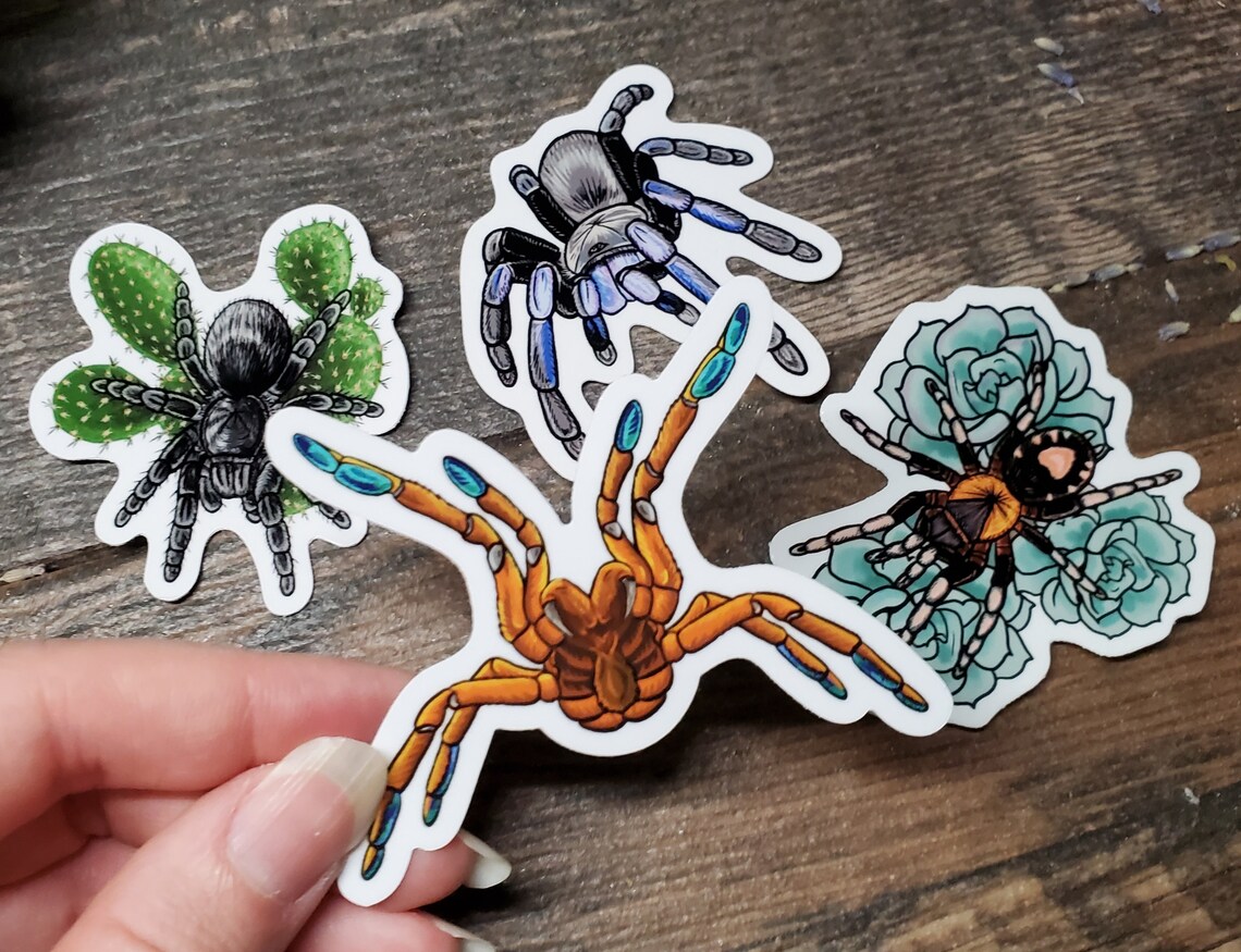 Tarantula Sticker Pack 4 Glossy Waterproof 2.75 Inch - Etsy