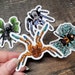 Tarantula Sticker Pack 4 Glossy Waterproof 2.75 Inch Stickers OBT G ...
