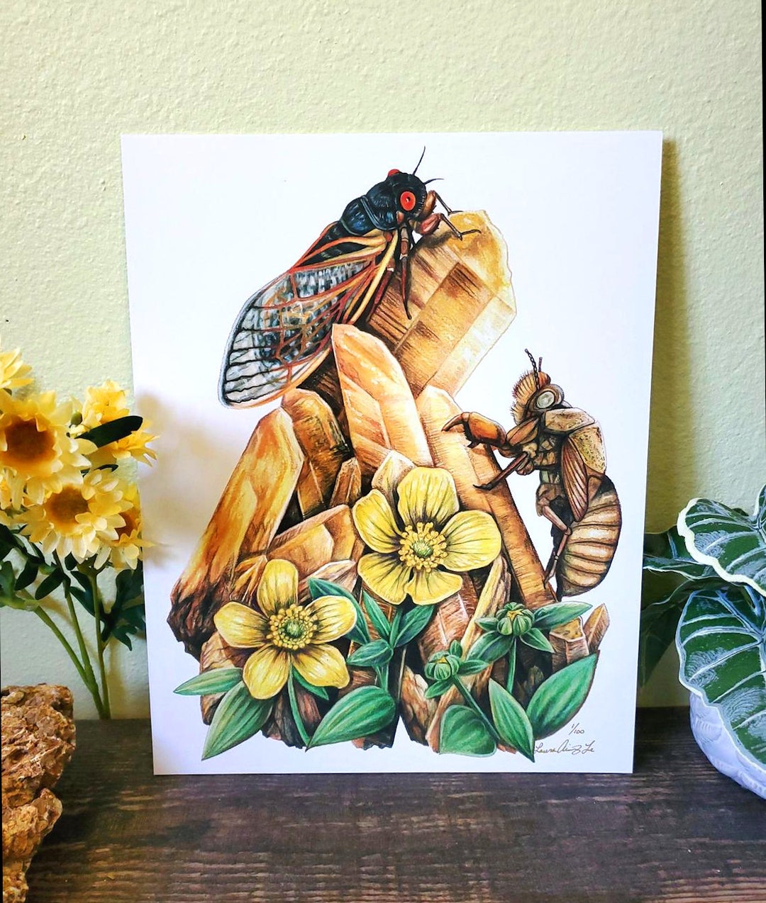 Limited Edition - Broodx Cicadas - 11x14 Fine Art Print - Citrine ...