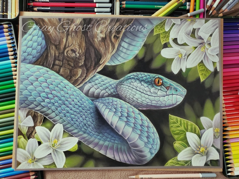 Blue Insularis Snake Art Print: Viper Reptile With Jasmine Flowers - Etsy