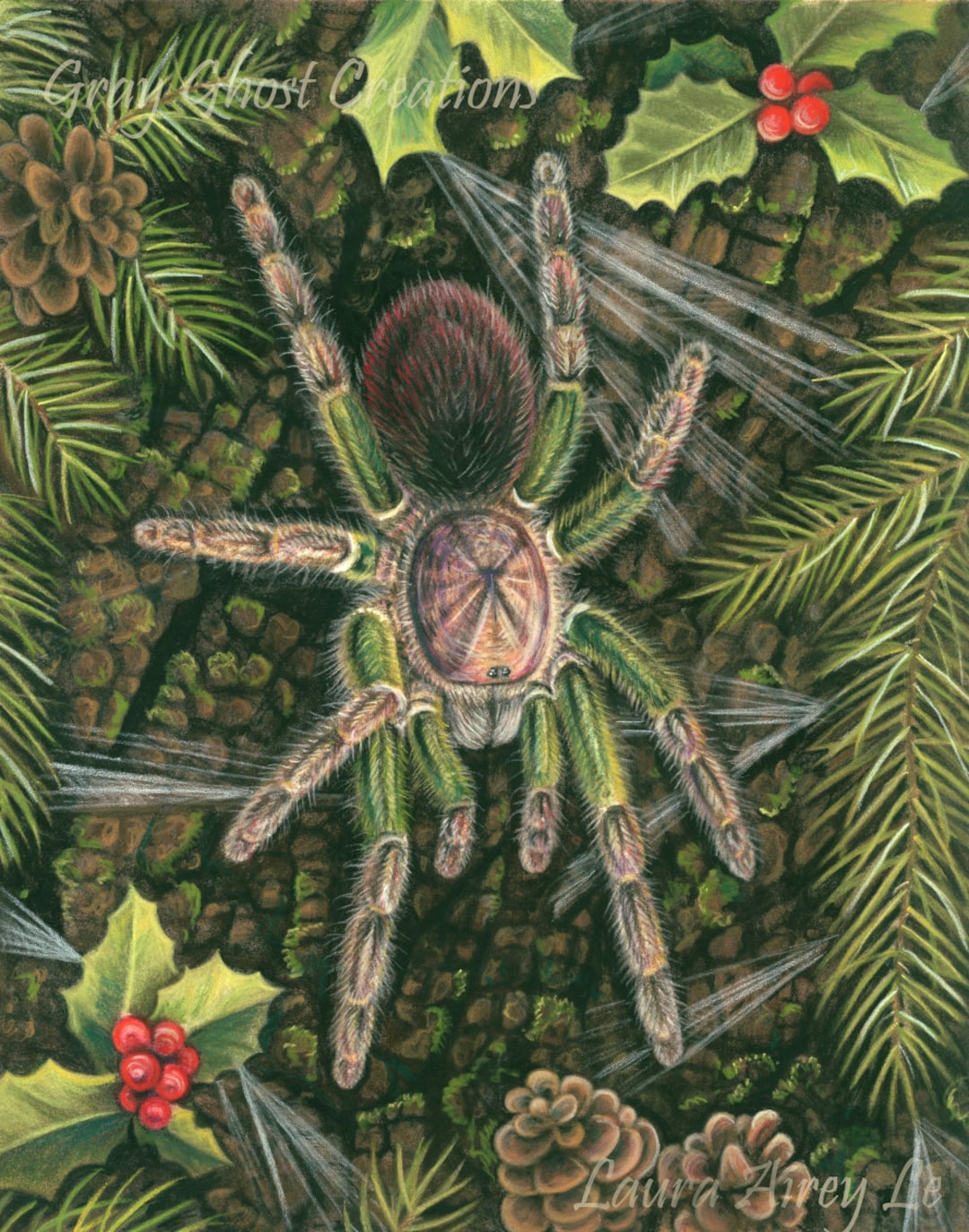Holiday Tarantula Art Print: Winter Christmas Spider Drawing - Etsy