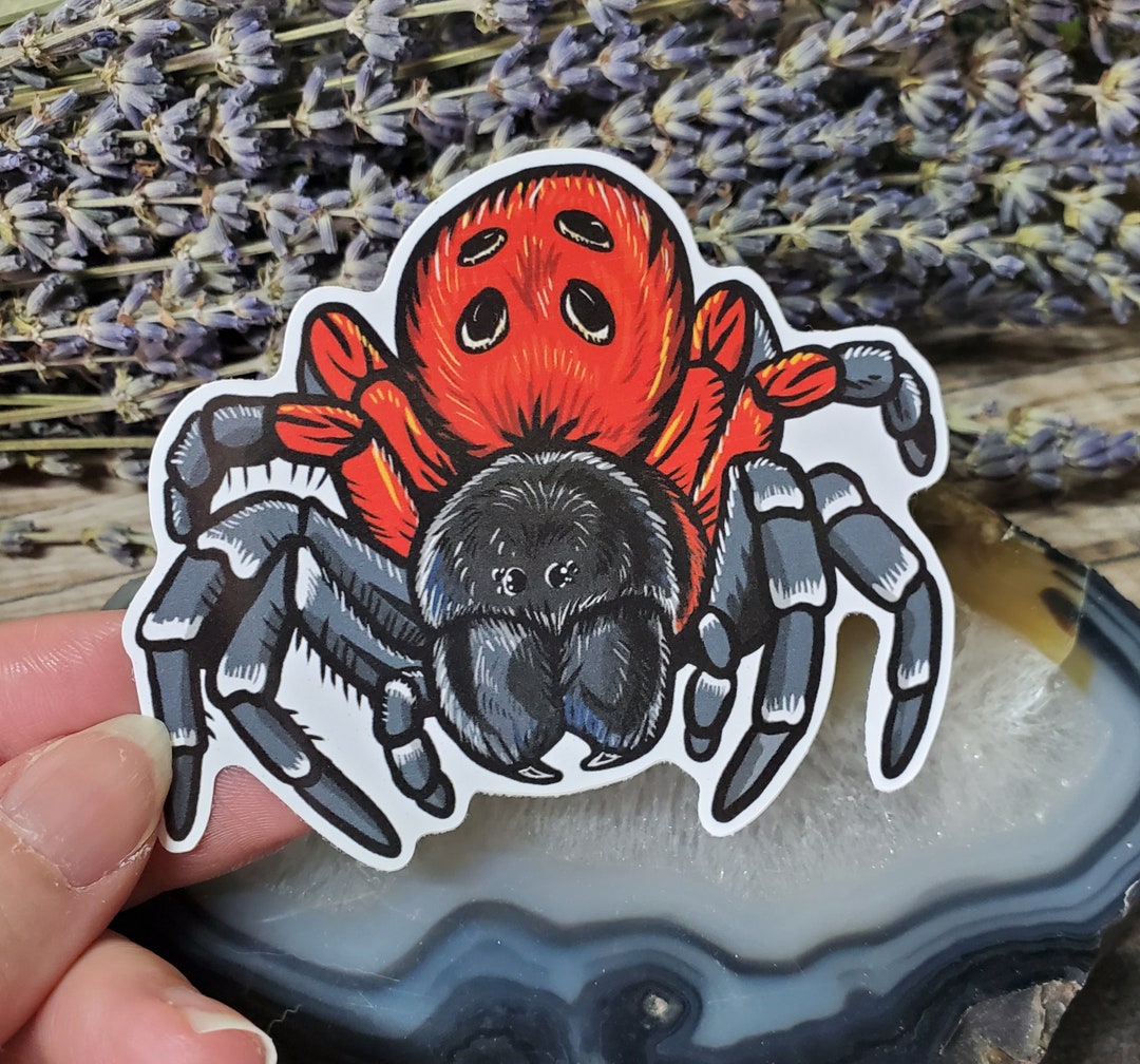 Velvet Spider Sticker - 3.5 Inch Glossy Sticker - Ladybird Spider ...