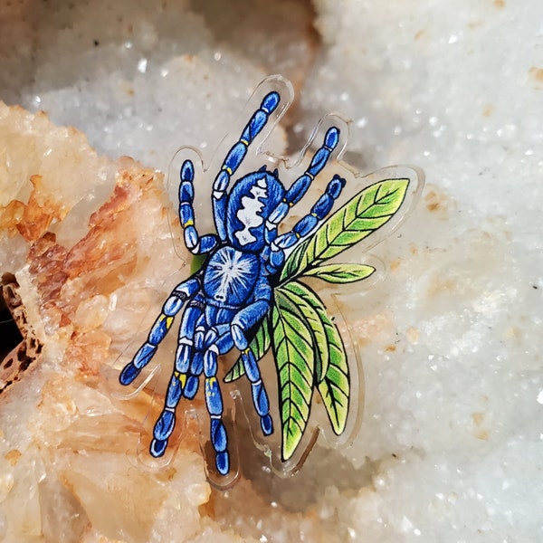 Gooty - Etsy