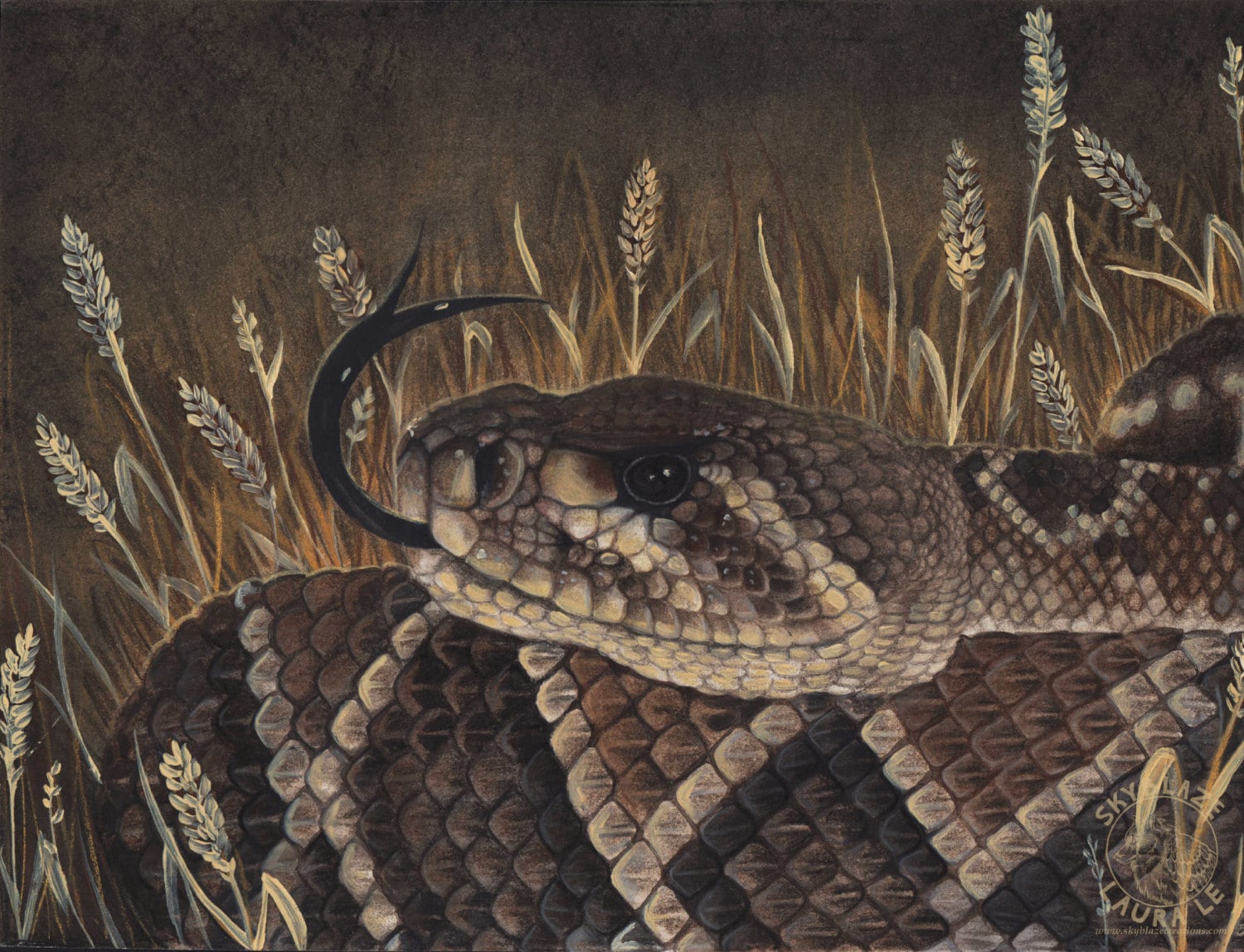 Rattle Snake - Fine Art Print - by Laura Airey Le - Reptile Venom ...