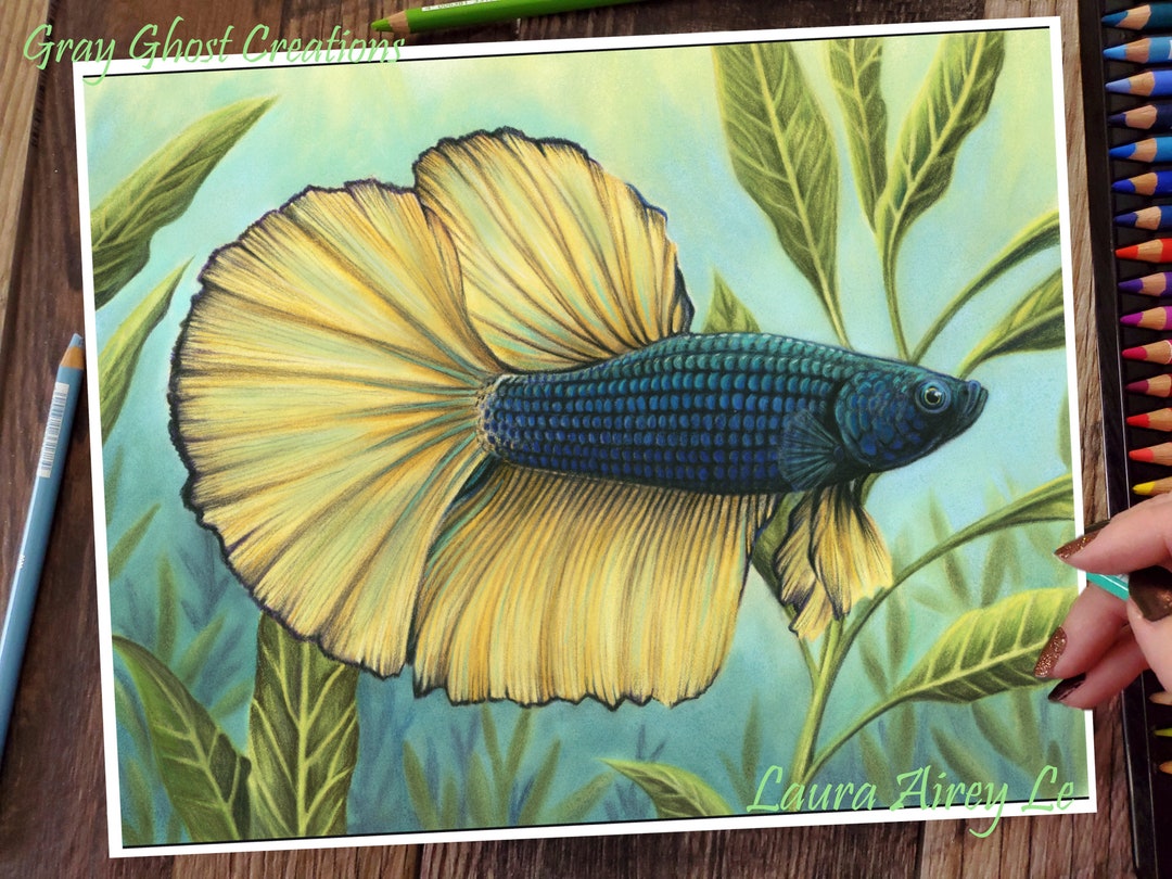 Original Betta Fish Pastel Drawing: Blue Fire Animal Art (24x30 Cm) - Etsy