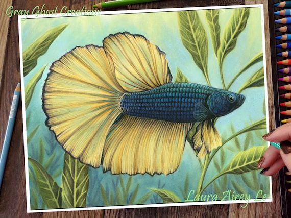 Pastel Drawings Of Fish