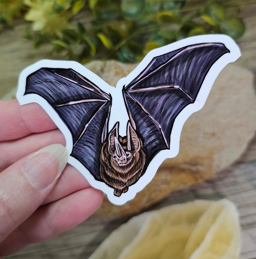 Sword Nosed Bat Sticker - 3.25 Inch Glossy Sticker - Waterproof Bat ...