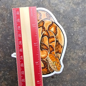 Copperhead Snake Sticker: Glossy Reptile Art Decal - Etsy